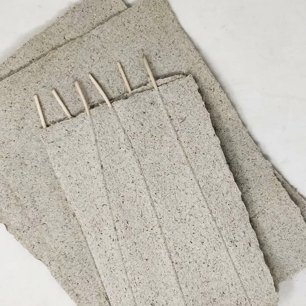 10 Interesting Facts About Elephant Poo You Didn’t Know