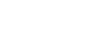 Discover Sustainable Handmade Paper | Bluecat Paper 2.0