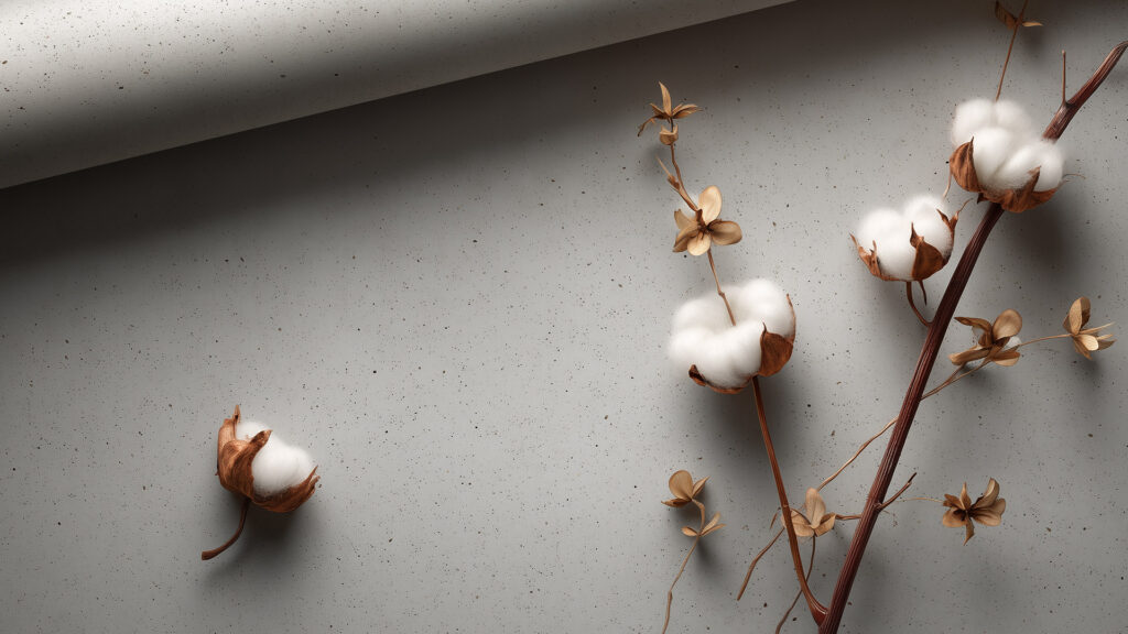 Discover Sustainable Handmade Paper | Bluecat Paper 2.0